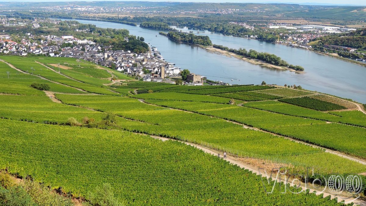 French Rhine Road Trip - Scenic Drive Experience