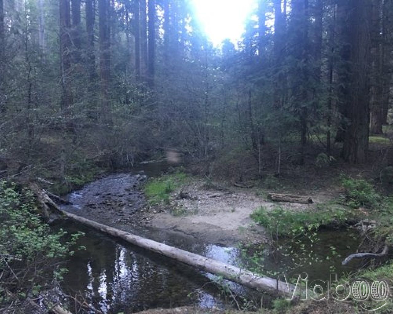 Escape To Nelder Grove: Your Northern California Campground Adventure