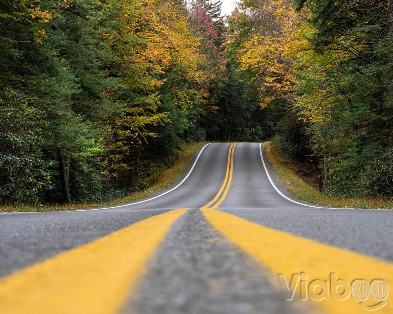United States's most Scenic Drives and Panoramic Routes | Plan Your ...