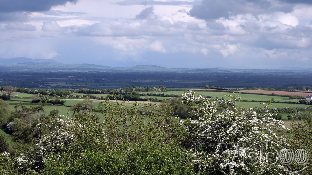 Plains of Kildare Road Trip | Get free Ireland Itineraries by Viaboo
